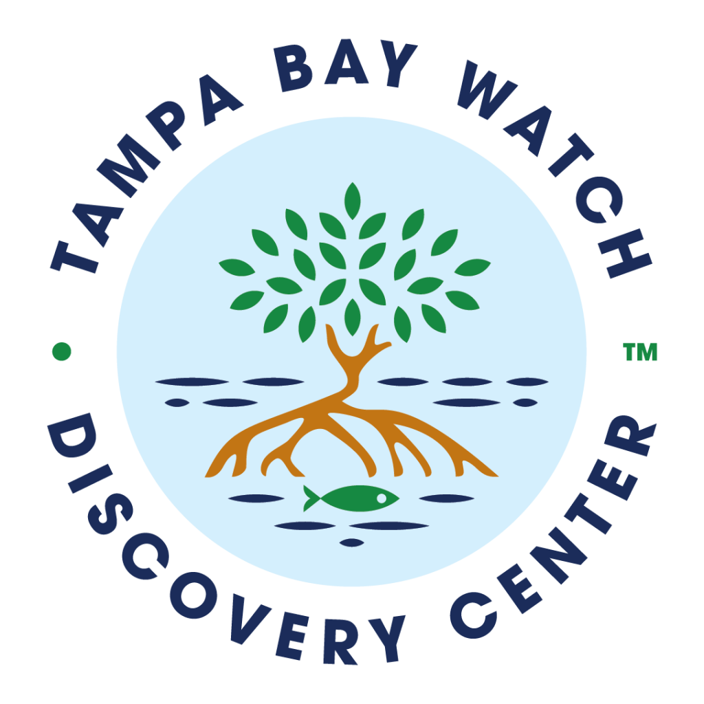 Get to Know: Tampa Bay Watch - St. Petersburg Chamber of Commerce